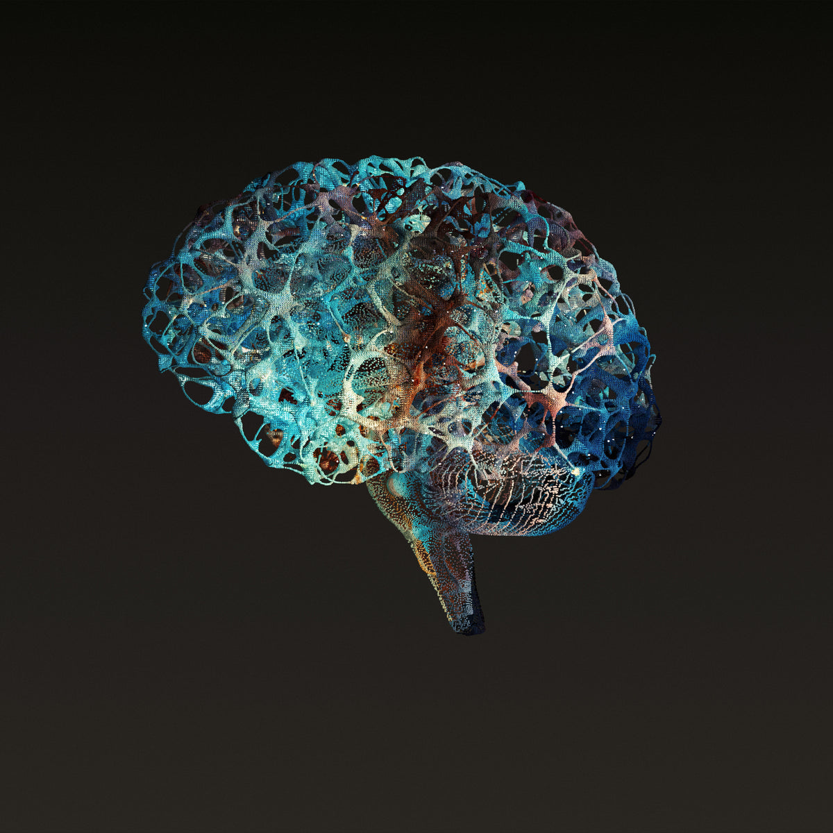 Neuroplasticity and Sleep: How Rest Supports Learning and Growth – HMN24